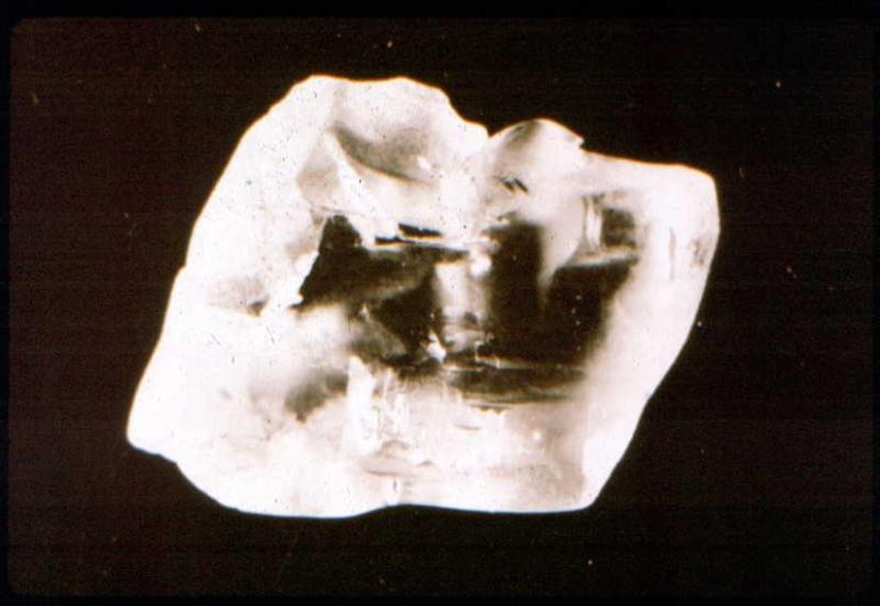 Discovering the Uncle Sam | Arkansas State Parks