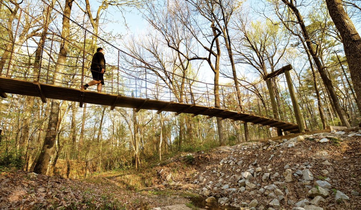 Experience a distinct landscape at Crowley’s Ridge State Park ...