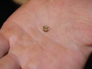 Tips for Finding Diamonds on the Surface | Arkansas State Parks